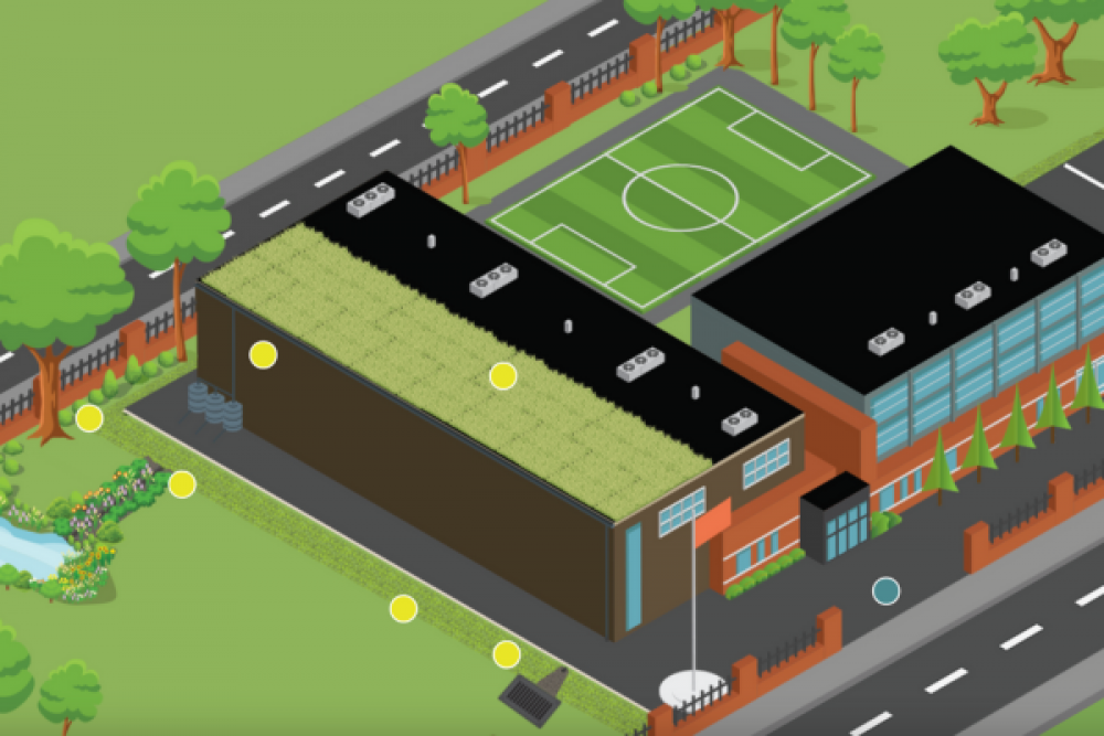 Environmental Education for Youth | GreenLearning