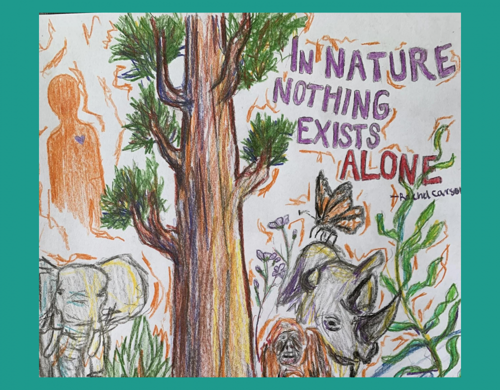 Environmental Education for Youth | GreenLearning